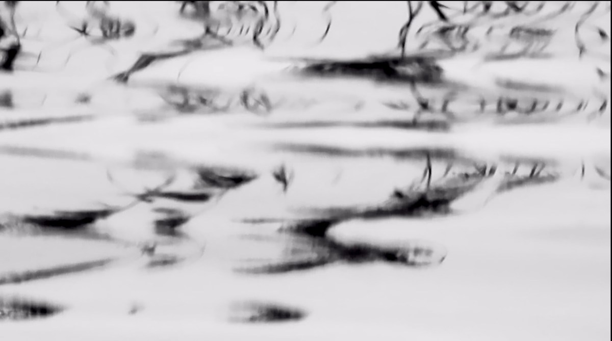 Ebb and Flow: a waltz wave poem – LesleyScoble.com