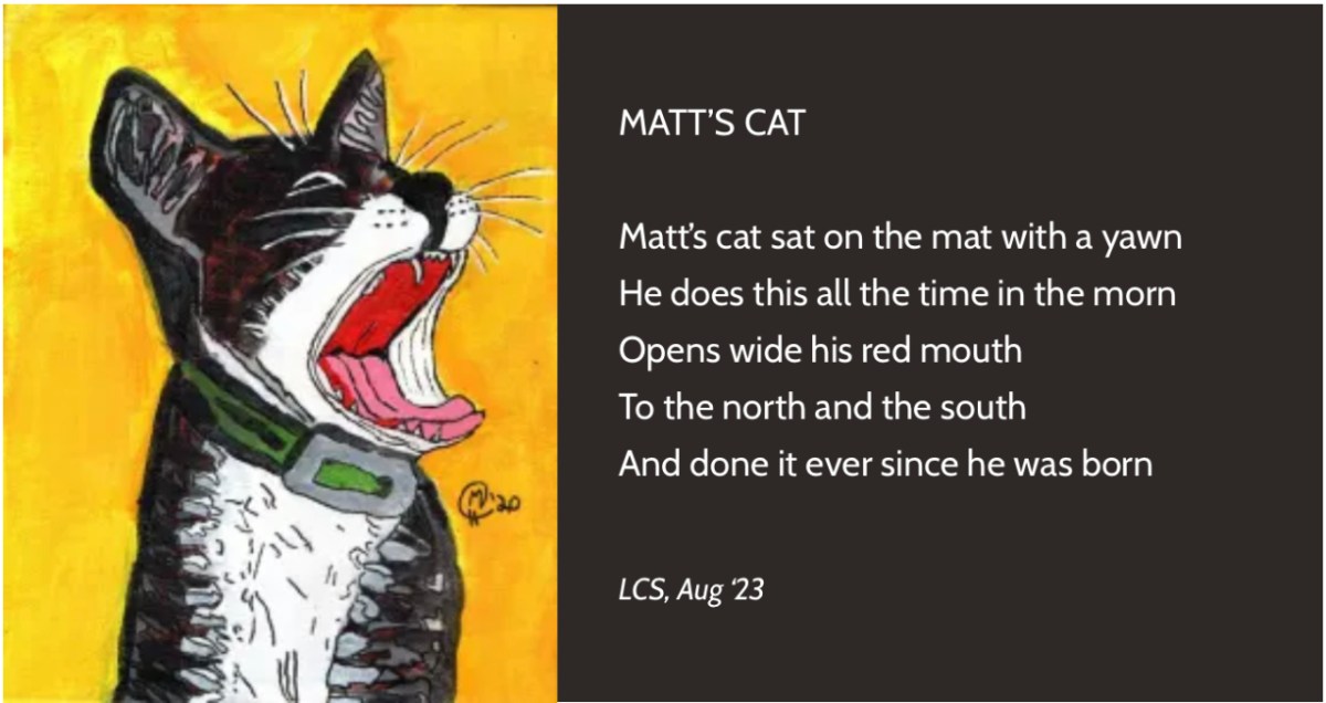Matt’s Cat: a limerick – LesleyScoble.com