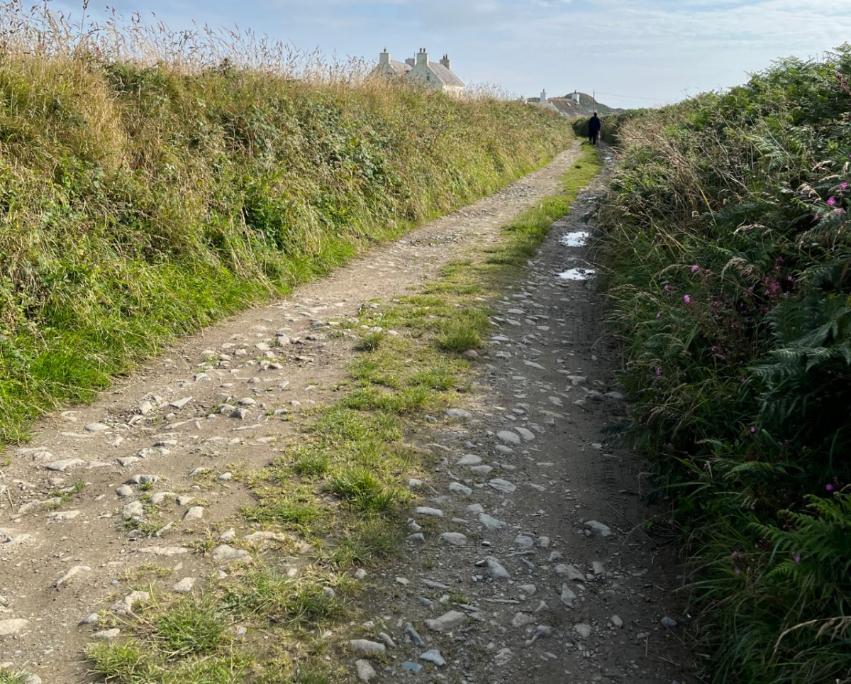 The Quiet of a Country Lane: a biolet – LesleyScoble.com